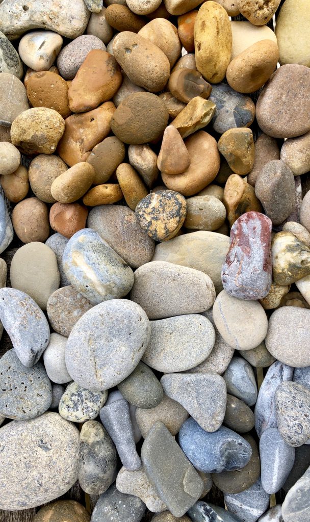 Sorting, Rocks! – Play of the Wild