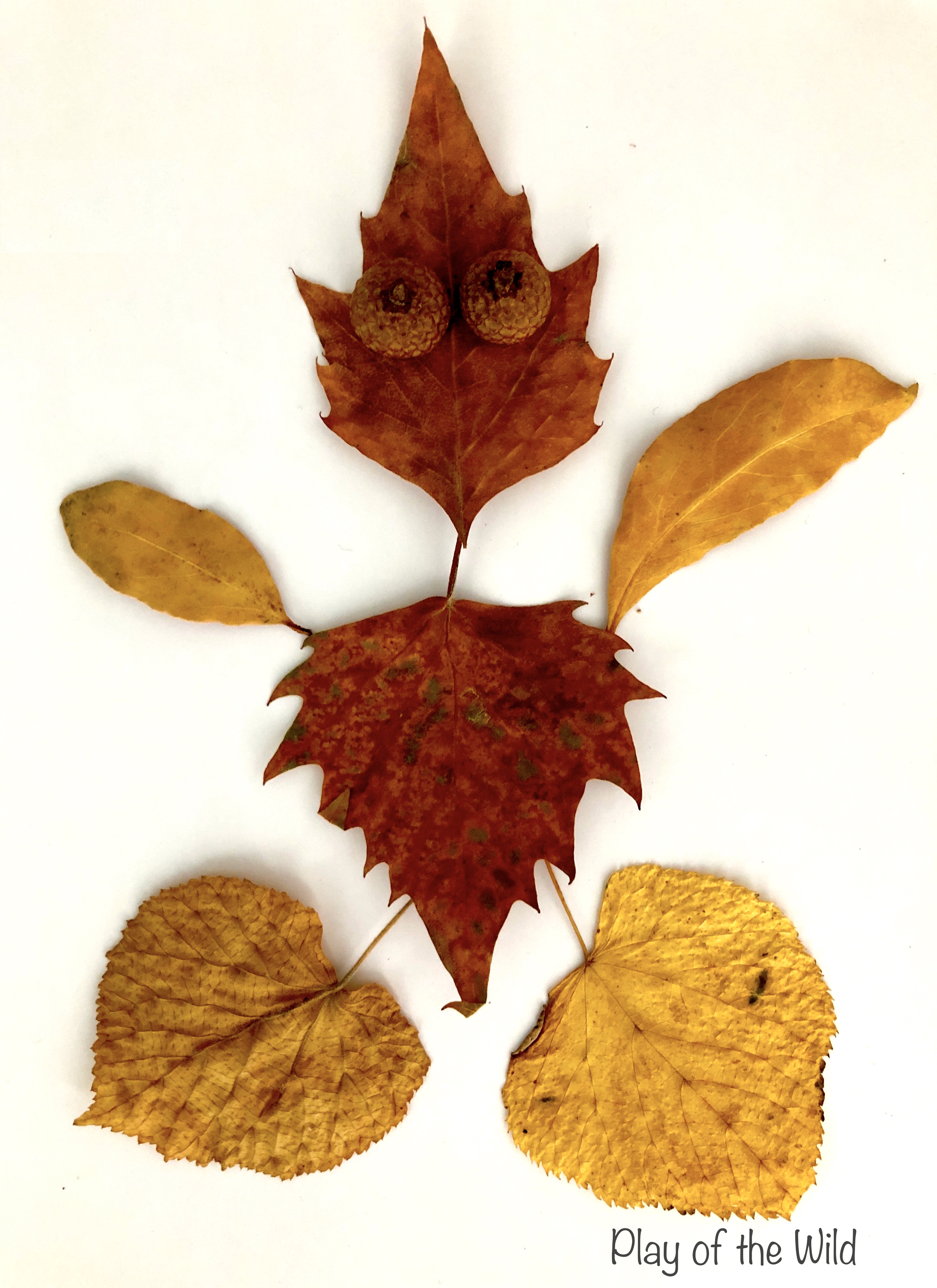 Leaf Man Activities- Make Leaf Man Move! – Play of the Wild