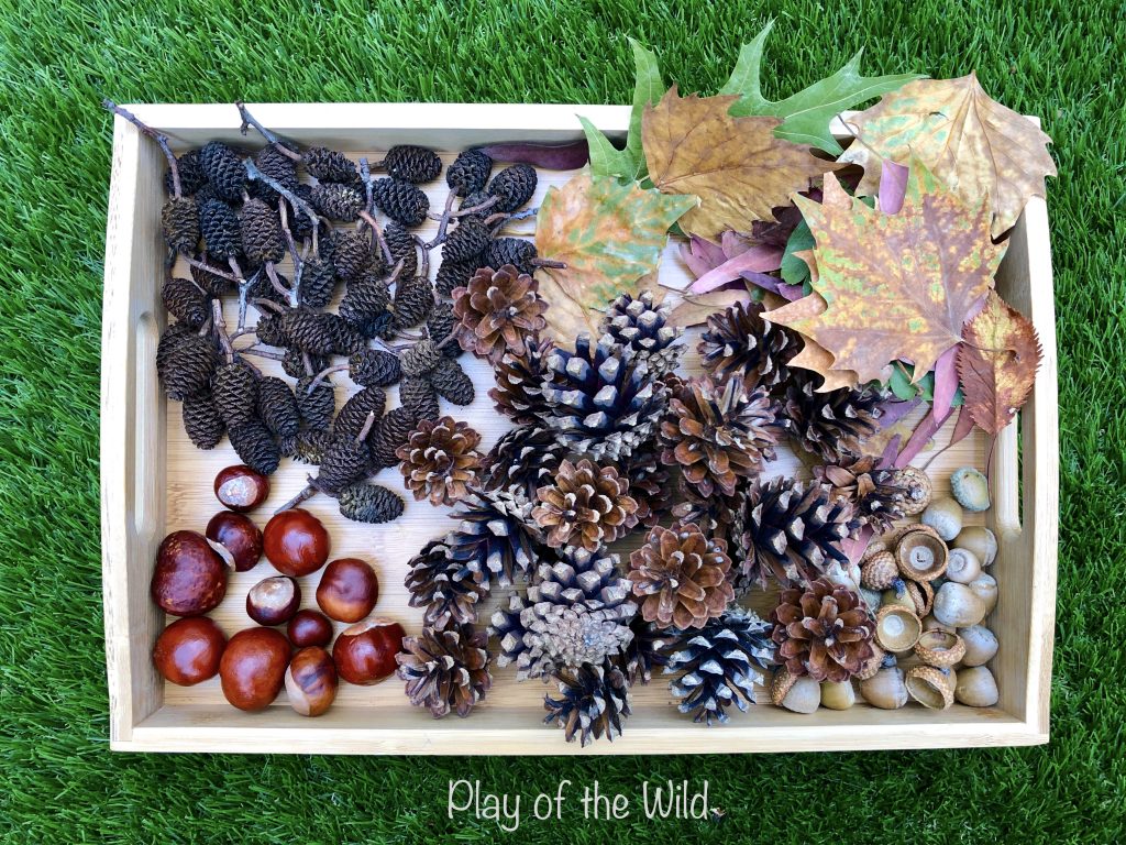 Activities to Teach Numbers - Autumn Counting Activities – Play of the Wild