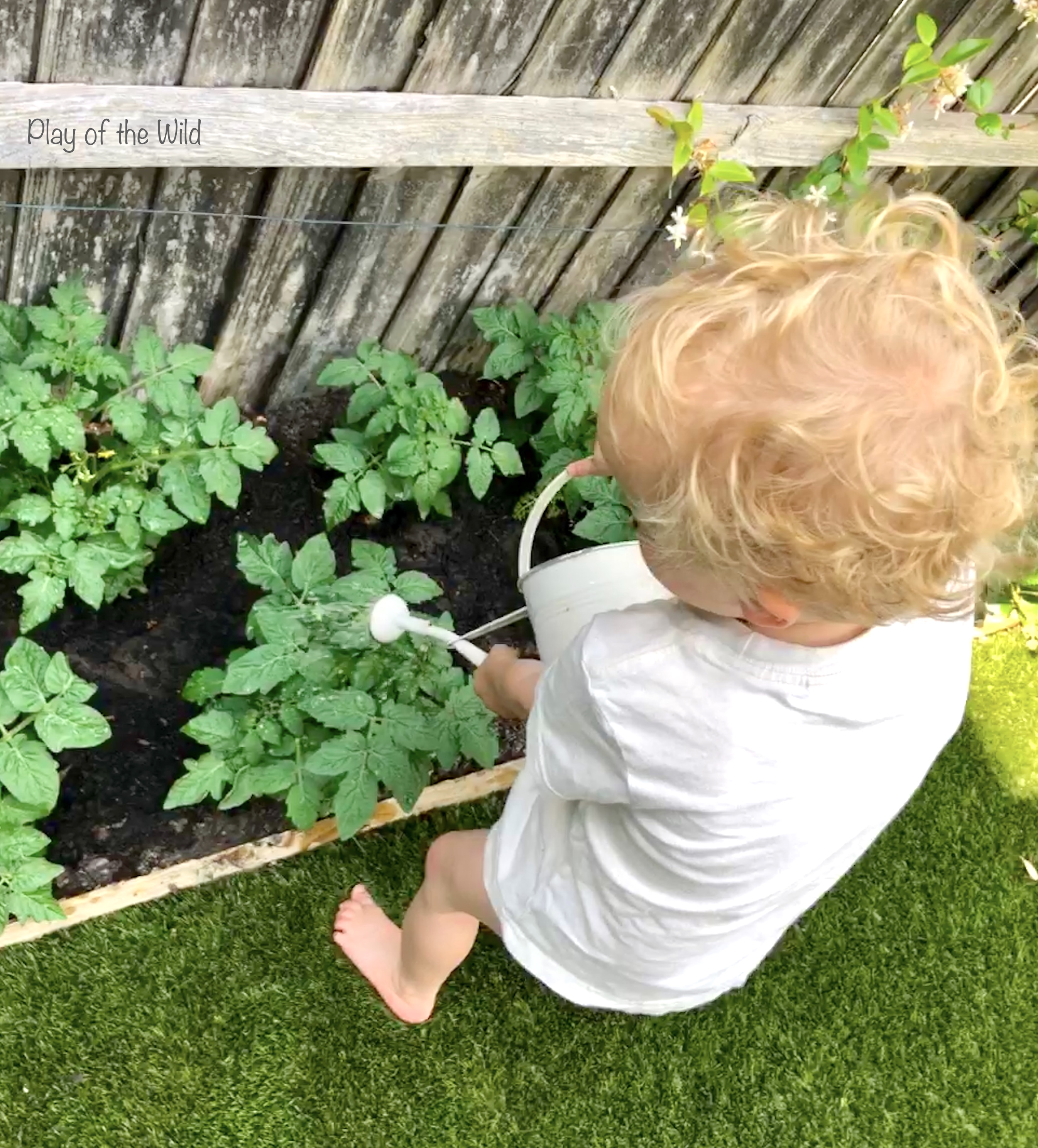 Kids Vegetable Garden: How to Make a Garden for Kids – Play of the Wild