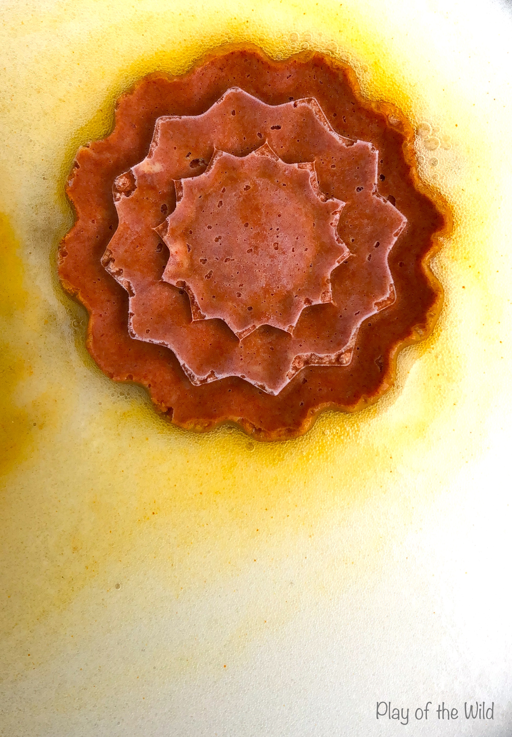 Turmeric pH Indicator Experiment for Acids & Bases – Play of the Wild