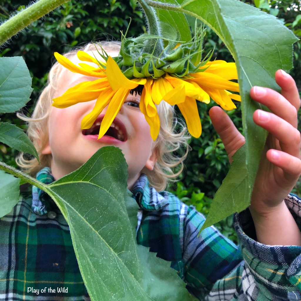 Ideas to Teach Literacy Outdoors - Reading & Writing – Play of the Wild