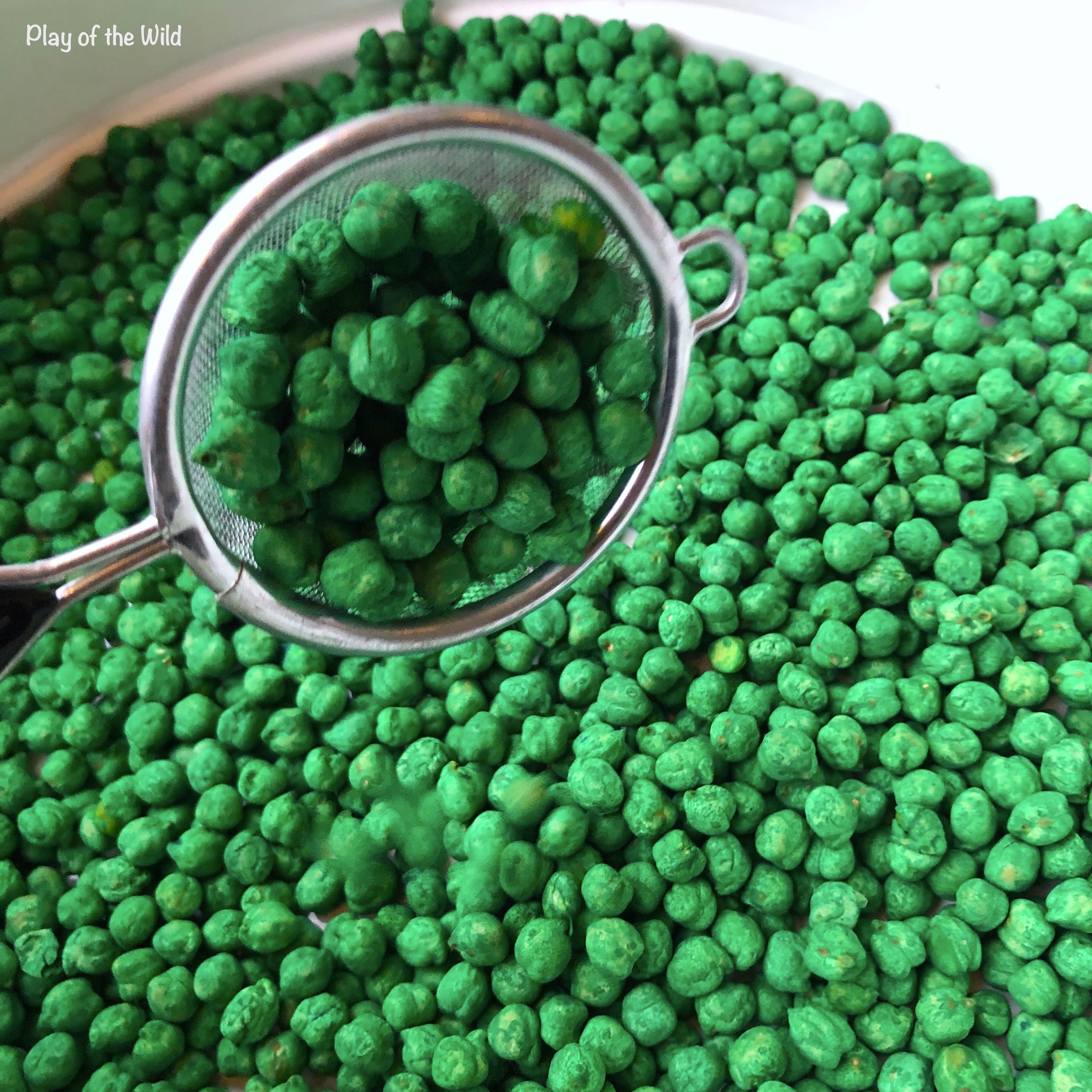 How to Dye Chickpeas with Food Coloring or Watercolors – Play of the Wild