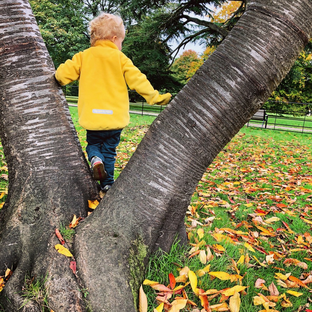 Benefits of Going Outdoors - Reasons to Get Out – Play of the Wild